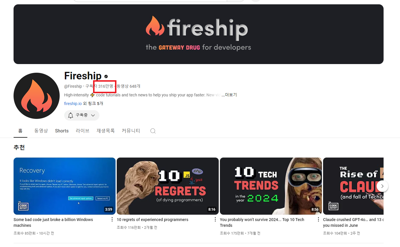 코딩 개발 유튜브 만들어보자(feat. FireShip 벤치마킹) - 성공기록 Page To Success